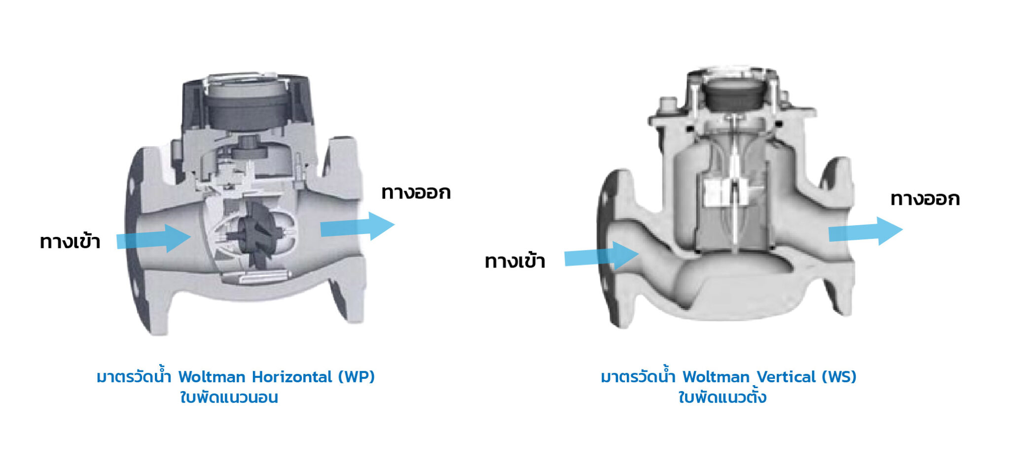 Woltman ชื่อนี้มาจากไหน?? | SANWA