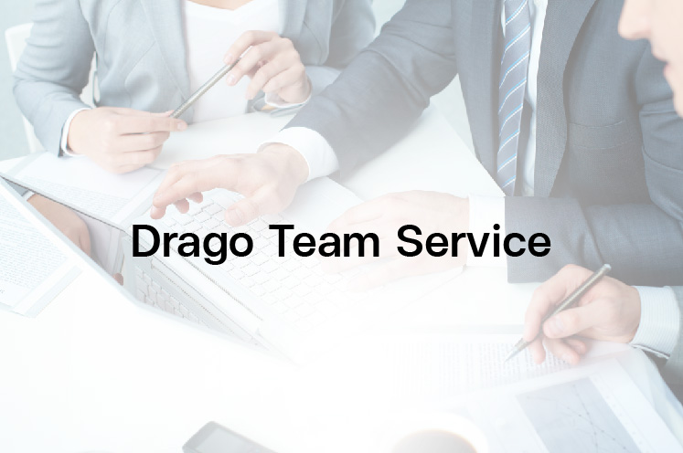 DRAGO page S2-06 | SANWA